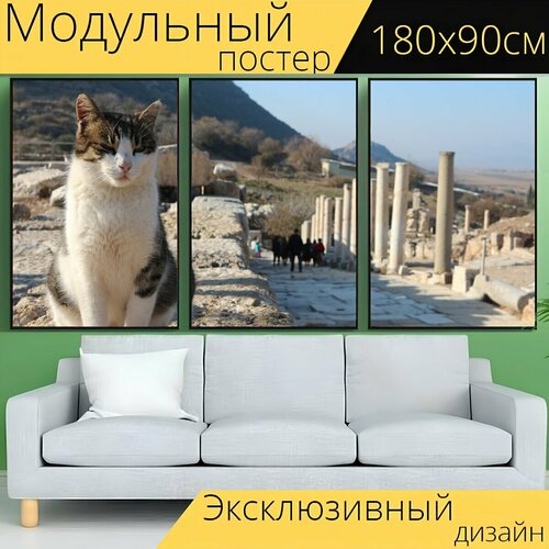 Модульный постер "Кошка, турция, руины" 180 x 90 см. для интерьера