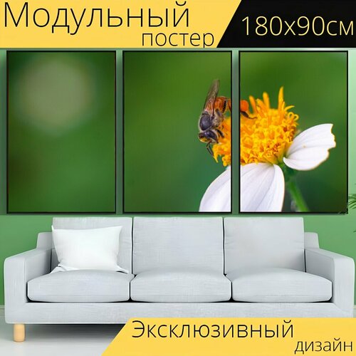 Модульный постер "Насекомое, пчела, цветок" 180 x 90 см. для интерьера