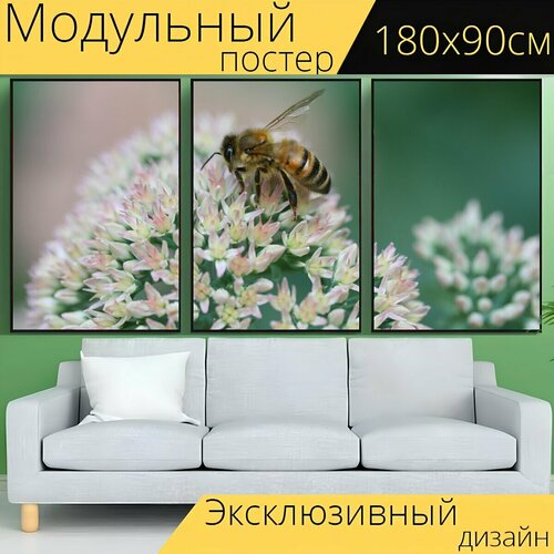 Модульный постер "Цвести, пчела, корм" 180 x 90 см. для интерьера