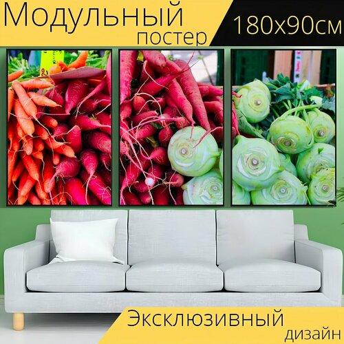 Модульный постер "Морковь, свекла, овощи" 180 x 90 см. для интерьера