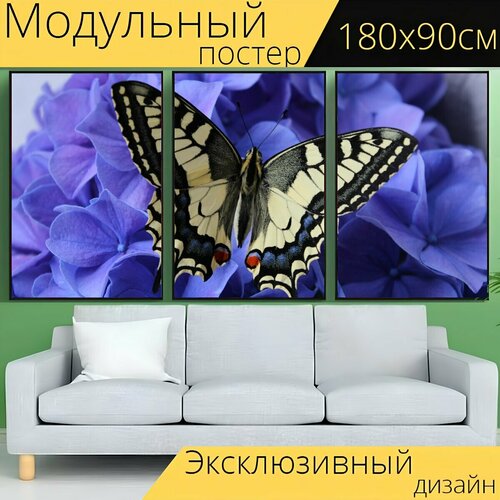 Модульный постер "Ласточкин хвост, бабочка, гортензия" 180 x 90 см. для интерьера