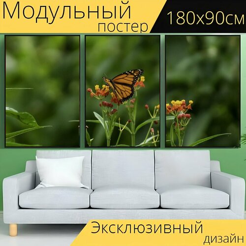 Модульный постер "Бабочка, бабочка монарх, чешуекрылые" 180 x 90 см. для интерьера