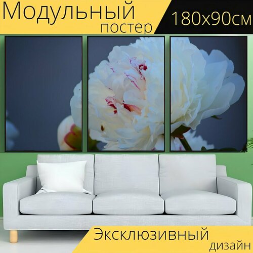 Модульный постер "Пион, цветы, лето" 180 x 90 см. для интерьера