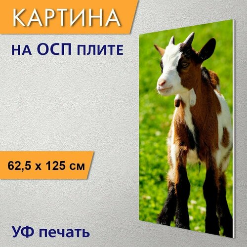 Вертикальная картина на ОСП "Козел, молодая коза, ребенок" 62x125 см. для интерьериа
