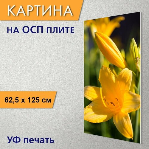 Вертикальная картина на ОСП "Лето, цветы, летние цветы" 62x125 см. для интерьериа
