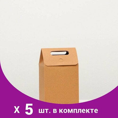 Коробка-пакет с ручкой, крафт, 27 х 16 х 9 см (5 шт)