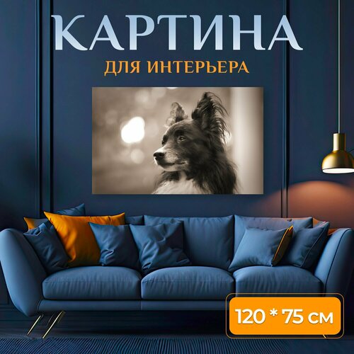 Картина на холсте "Собака, животное, портрет" на подрамнике 120х75 см. для интерьера