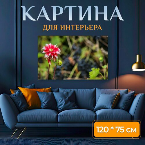 Картина на холсте "Цветок, красный, цвести" на подрамнике 120х75 см. для интерьера
