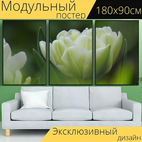 Модульный постер "Тюльпаны, весна, цветок" 180 x 90 см. для интерьера