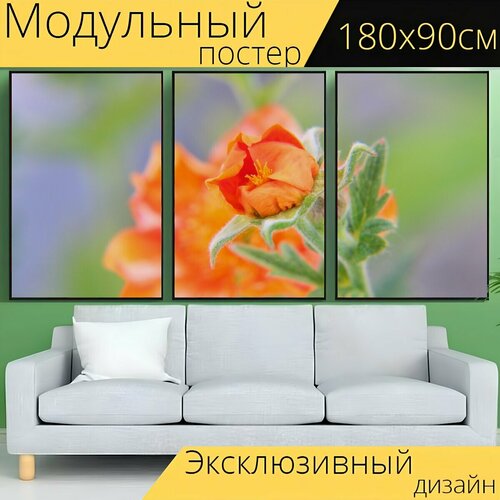Модульный постер "Цветок, апельсин, макрос" 180 x 90 см. для интерьера