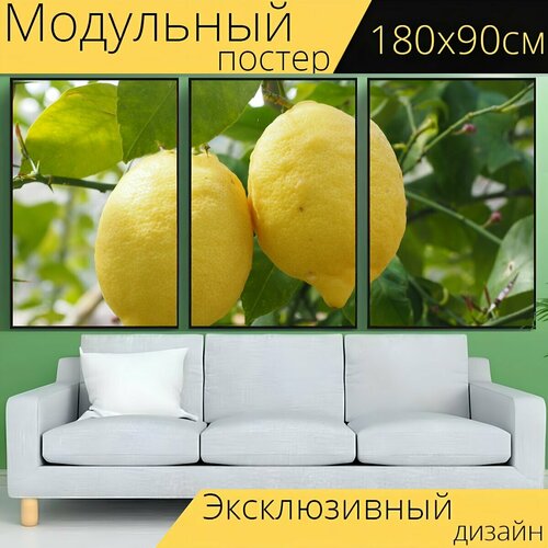 Модульный постер "Лимон, лимоне, лимонное дерево" 180 x 90 см. для интерьера