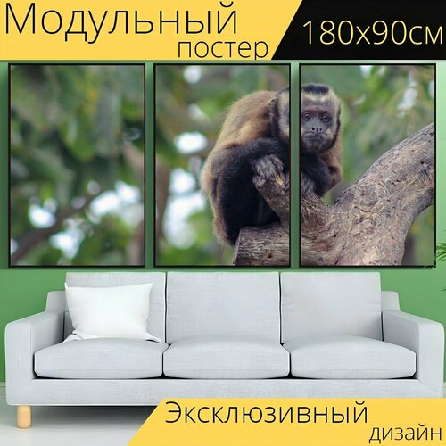 Модульный постер "Моно, приматы, дерево" 180 x 90 см. для интерьера