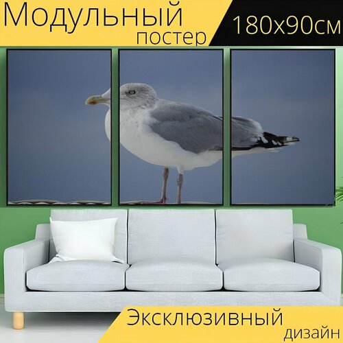 Модульный постер "Чайка, птица, шезлонг" 180 x 90 см. для интерьера