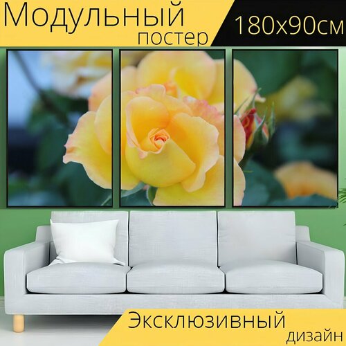 Модульный постер "Роза, желтая роза, цветок" 180 x 90 см. для интерьера