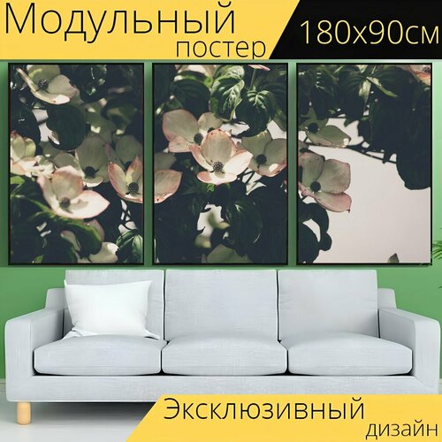 Модульный постер "Кизил, цветы, куст" 180 x 90 см. для интерьера