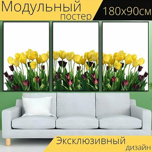 Модульный постер "Весна, тюльпаны, природа" 180 x 90 см. для интерьера