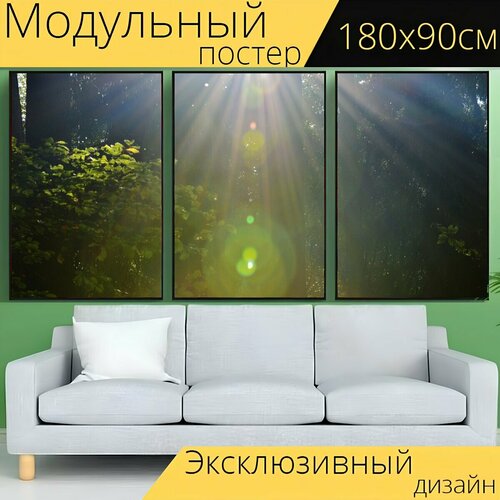 Модульный постер "Утреннее настроение, лес, подсветка" 180 x 90 см. для интерьера