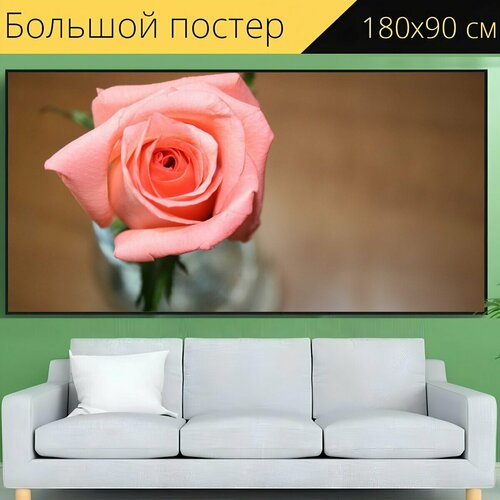 Большой постер "Роза, цветок, срезанный цветок" 180 x 90 см. для интерьера