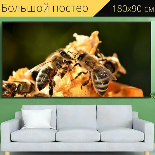 Большой постер "Пчелы, насекомое, пчела" 180 x 90 см. для интерьера