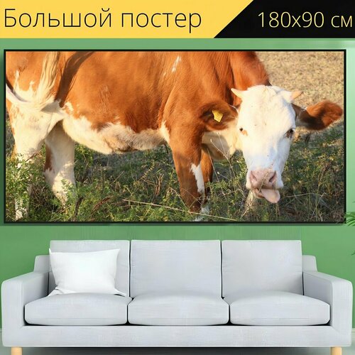 Большой постер "Крупного рогатого скота, дана, корова" 180 x 90 см. для интерьера