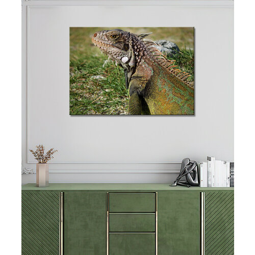 Картина -Игуана, мадагаскарская игуана, коричневая игуана (14) 20х30