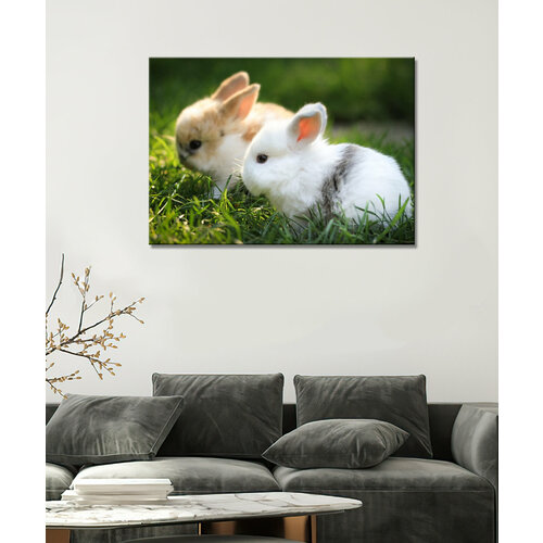 Картина/Кролик/Крольчонок/Кролик в траве - Кролик (3) 50х70