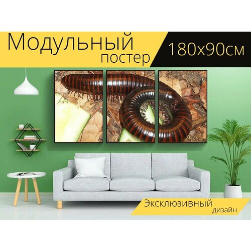 Модульный постер "Многоножка, мириапода, сороконожка" 180 x 90 см. для интерьера