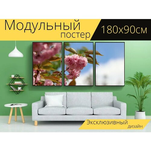 Модульный постер "Весна, весенние цветы, природа" 180 x 90 см. для интерьера