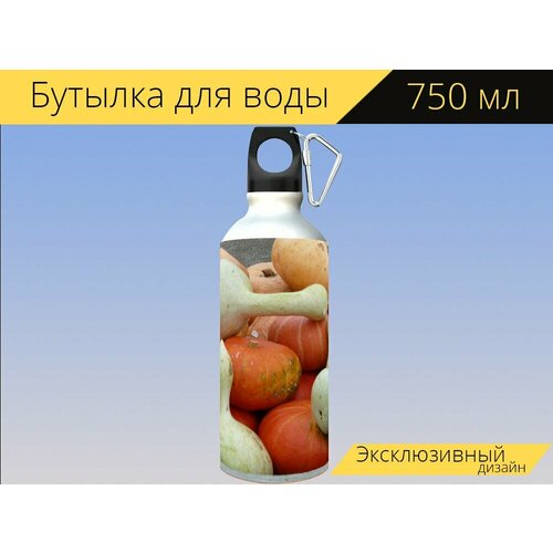 Бутылка фляга для воды "Бутылочные тыквы, тыквы, лагенария сицерария" 750 мл. с карабином и принтом