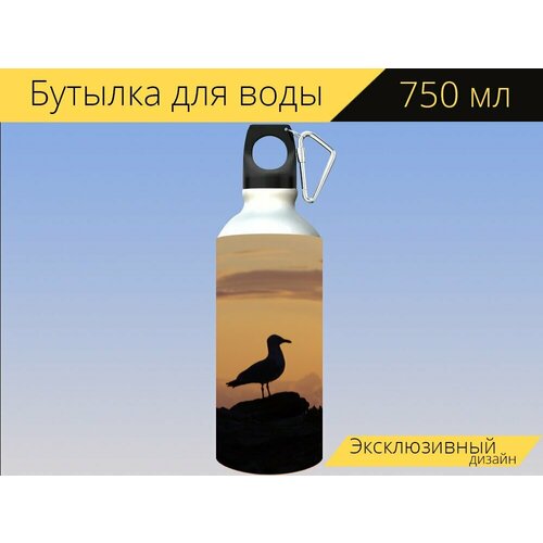 Бутылка фляга для воды "Чайка, силуэт, птица" 750 мл. с карабином и принтом