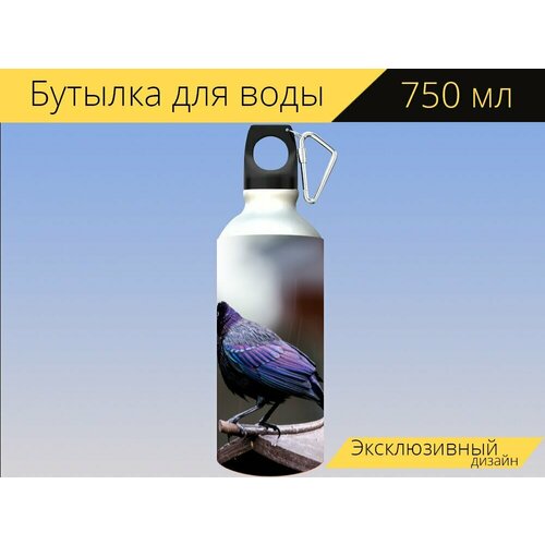 Бутылка фляга для воды "Птица, хлестать, клюв перья" 750 мл. с карабином и принтом