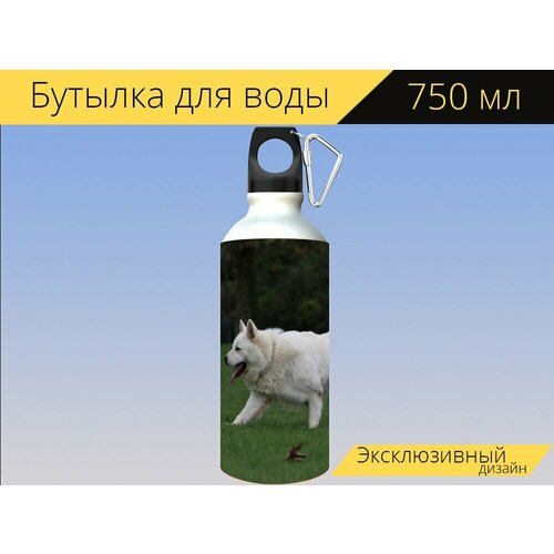 Бутылка фляга для воды "Собака, домашний питомец, бег" 750 мл. с карабином и принтом