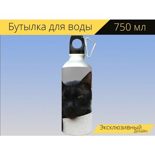 Бутылка фляга для воды "Кошка, черный кот, плутать" 750 мл. с карабином и принтом