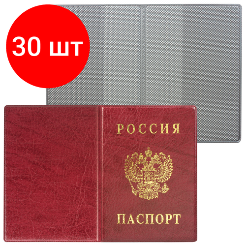 Комплект для паспорта DPSkanc, красный, бордовый