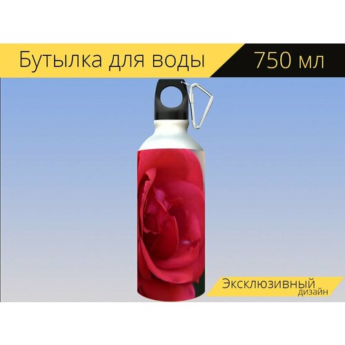 Бутылка фляга для воды "Красная роза бархат, цветок, лепестки" 750 мл. с карабином и принтом