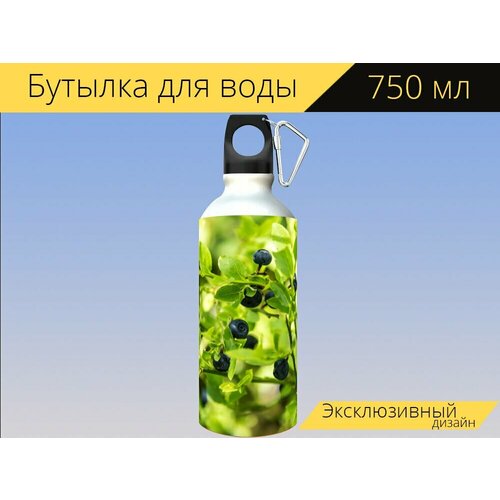 Бутылка фляга для воды "Лесная черника, подлесок, лесные плоды" 750 мл. с карабином и принтом