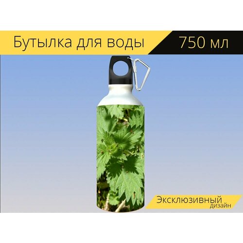 Бутылка фляга для воды "Лекарственное растение, крапива, сорняк" 750 мл. с карабином и принтом