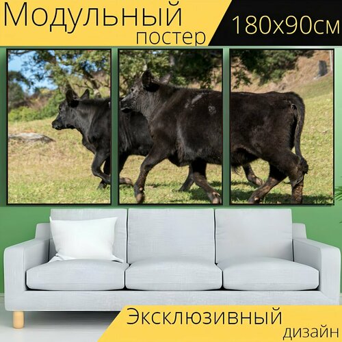 Модульный постер "Коровы, быки, крупный рогатый скот" 180 x 90 см. для интерьера