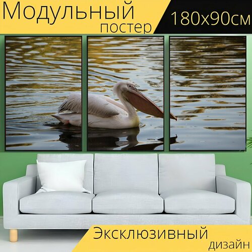 Модульный постер "Птица, водоплавающая птица, пеликан" 180 x 90 см. для интерьера