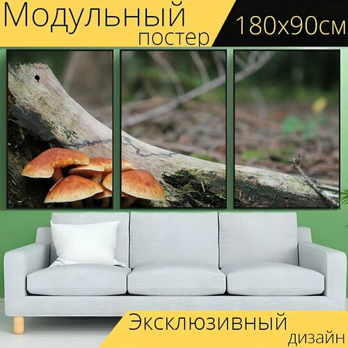 Модульный постер "Лесные грибы, лесная земля, спора" 180 x 90 см. для интерьера