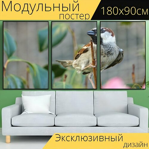 Модульный постер "Природа, птица, фауна" 180 x 90 см. для интерьера
