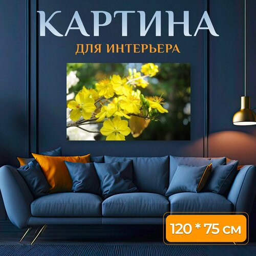 Картина на холсте "Абрикос цветок, желтый абрикос цветы, цветы" на подрамнике 120х75 см. для интерьера