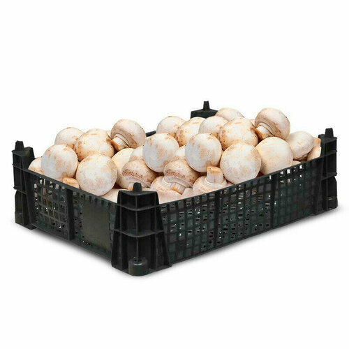 Ящик для хранения Ящик для грибов шампиньонов 400x300x110 черный арт.101 2 шт