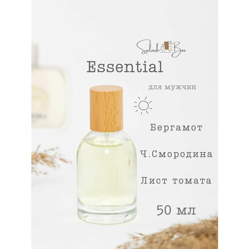 Essential духи стойкие