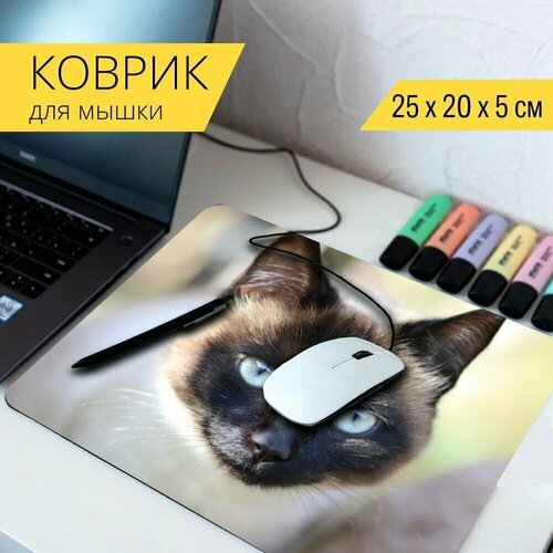 Коврик для мыши с принтом "Сиамский, кошка, голова кошки" 25x20см.