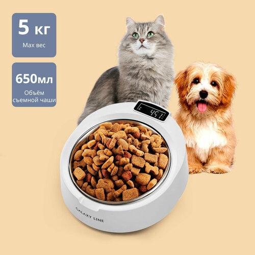 Весы электронные GALAXY LINE GL2890