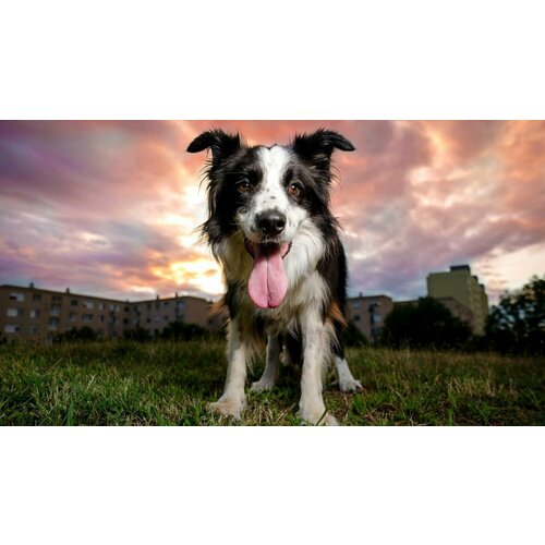 Картина на холсте 60x110 LinxOne "Вечер язык собака" интерьерная для дома / на стену / на кухню / с подрамником
