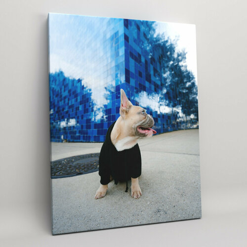 Картина на холсте (интерьерный постер) "Модный французский бульдог" собаки, с деревянным подрамником, размер 30х40 см