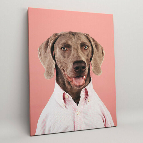 Картина на холсте (интерьерный постер) "Собака Веймаранер в рубашке", с деревянным подрамником, размер 30x40 см