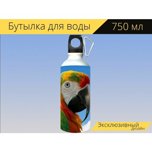 Бутылка фляга для воды "Попугай, ара, птица" 750 мл. с карабином и принтом